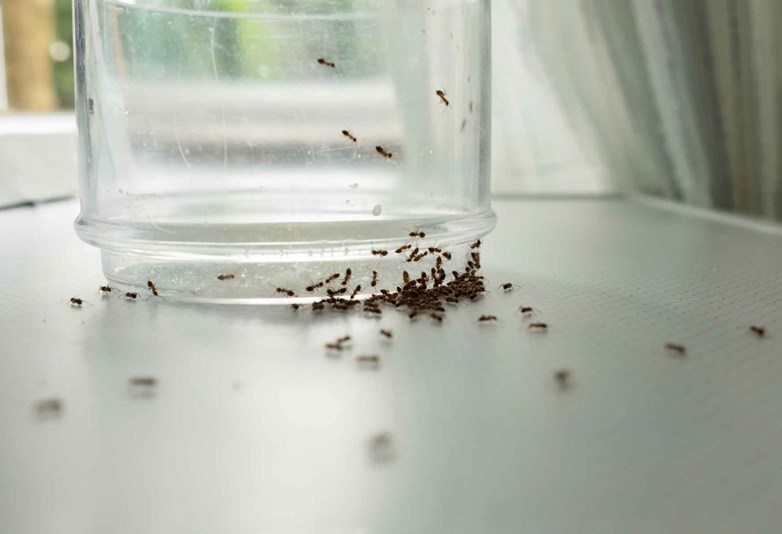 Bygghemma.se - Reportage och guider