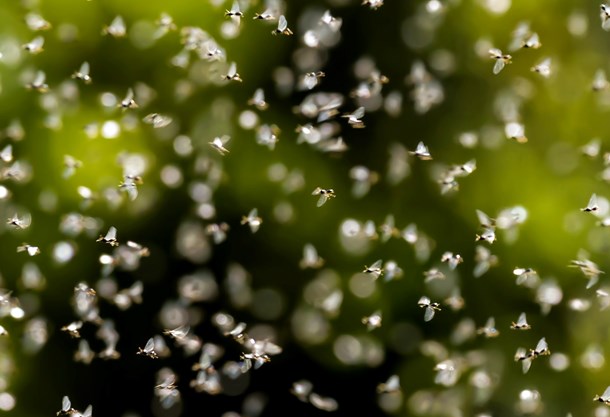 Bygghemma.se - Reportage och guider